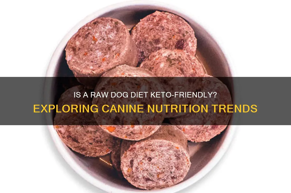 Is A Raw Dog Diet Keto-Friendly? Exploring Canine Nutrition Trends ...
