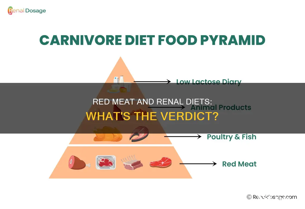 Red Meat And Renal Diets: What's The Verdict? | ShunKeto