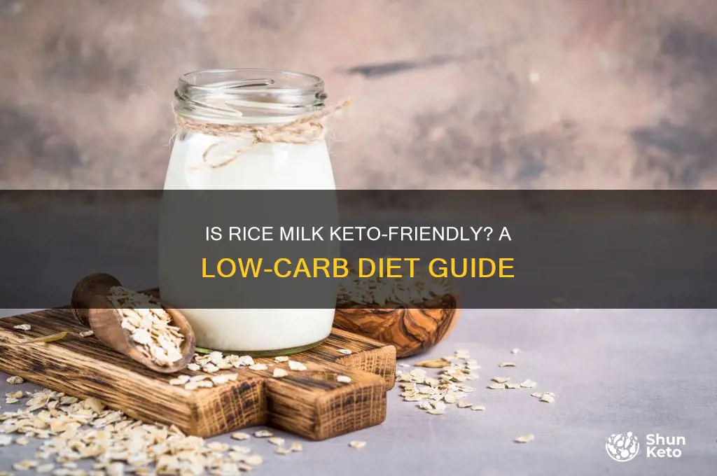 Is Rice Milk Keto-Friendly? A Low-Carb Diet Guide | ShunKeto