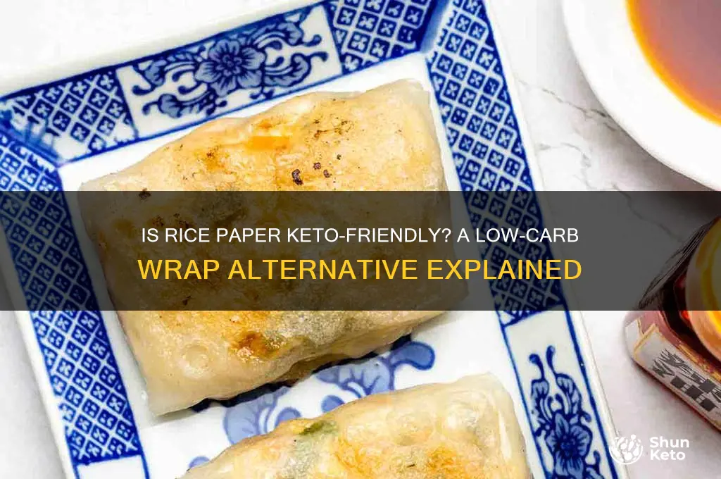 Is Rice Paper Keto-Friendly? A Low-Carb Wrap Alternative Explained ...