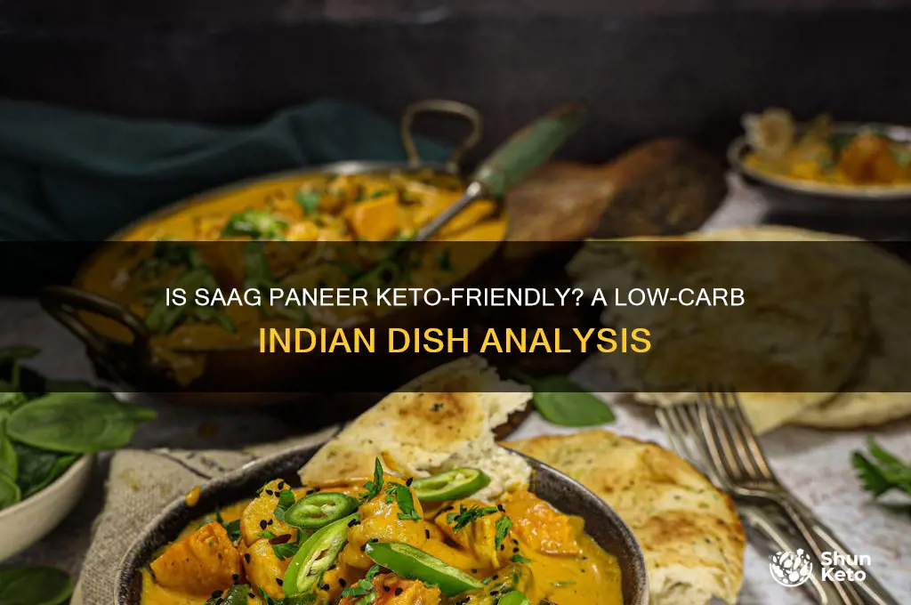 Is Saag Paneer Keto-Friendly? A Low-Carb Indian Dish Analysis | ShunKeto