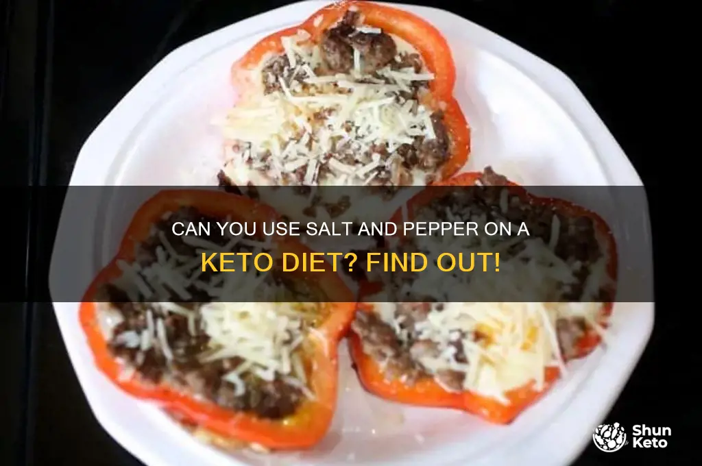 Can You Use Salt And Pepper On A Keto Diet? Find Out! | ShunKeto