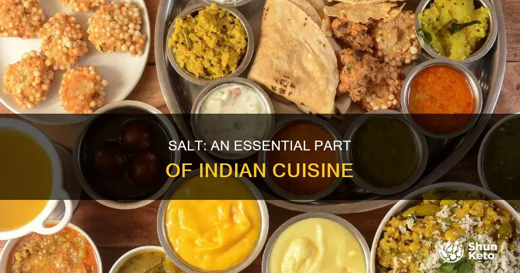 Salt: An Essential Part Of Indian Cuisine | ShunKeto
