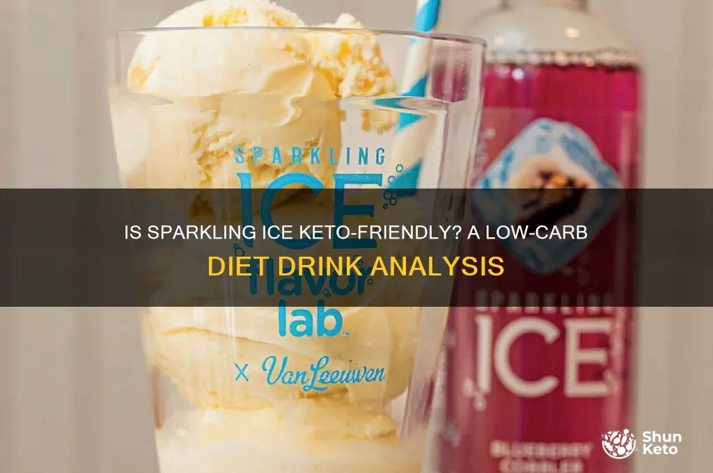 Is Sparkling Ice Keto-Friendly? A Low-Carb Diet Drink Analysis | ShunKeto