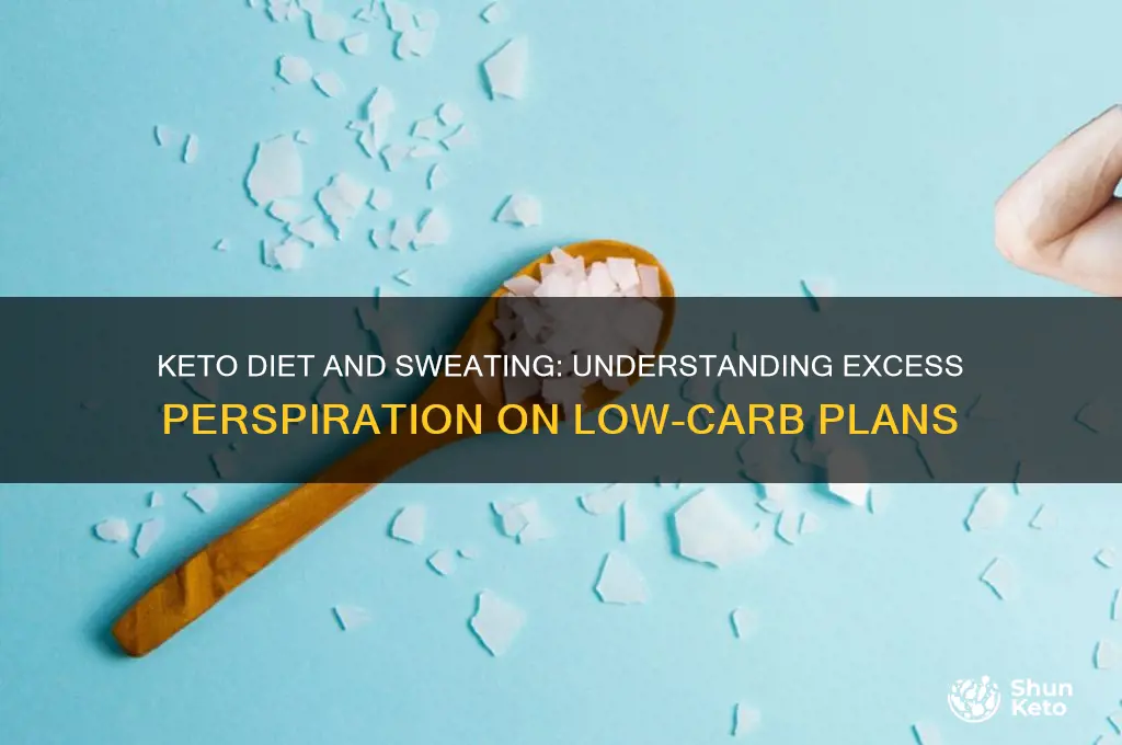 Keto Diet And Sweating: Understanding Excess Perspiration On Low-Carb ...