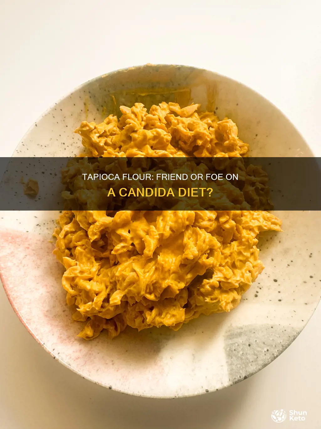 Tapioca Flour: Friend Or Foe On A Candida Diet? | ShunKeto