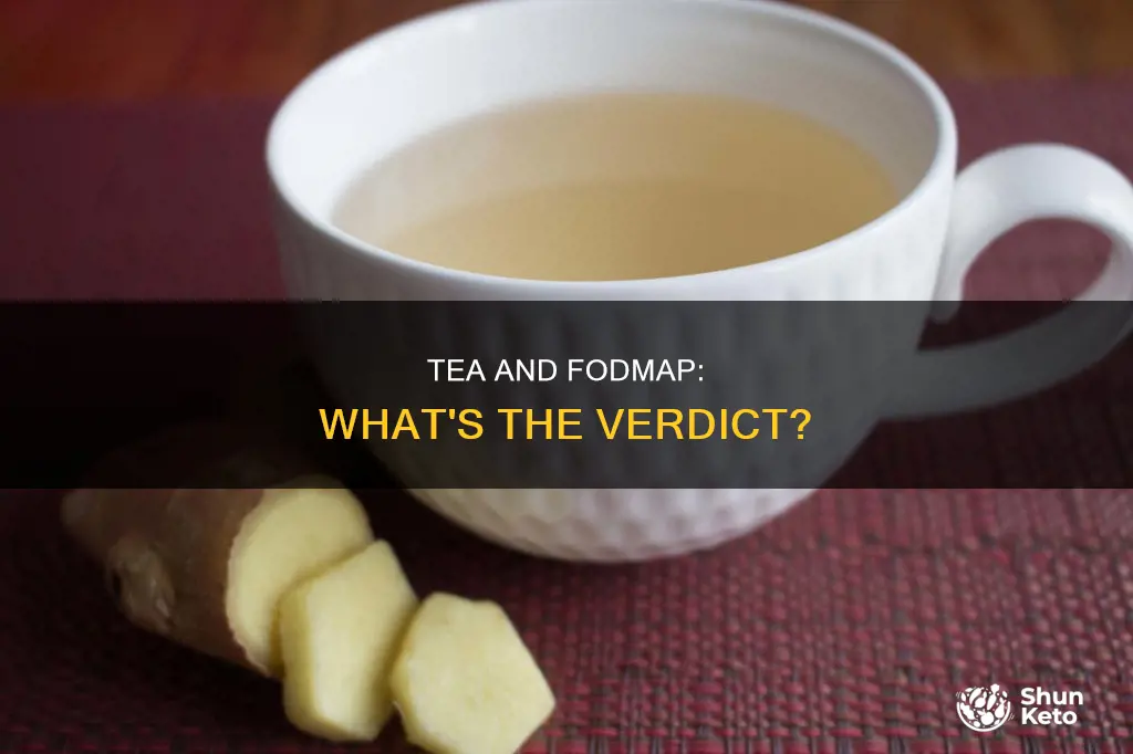Tea And Fodmap: What's The Verdict? | ShunKeto