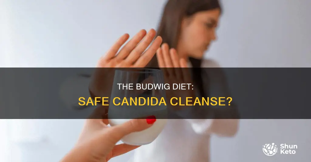 The Budwig Diet: Safe Candida Cleanse? | ShunKeto