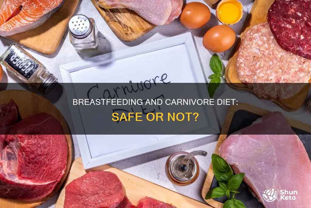 Breastfeeding And Carnivore Diet: Safe Or Not? | ShunKeto