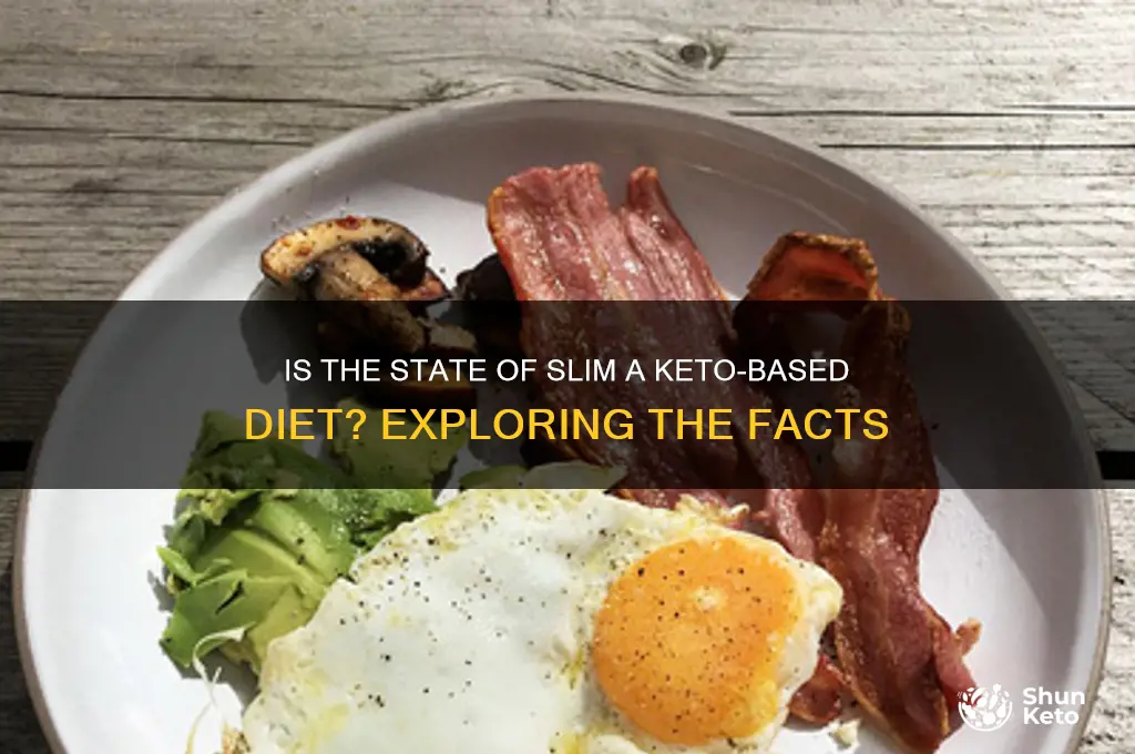 Is The State Of Slim A Keto-Based Diet? Exploring The Facts | ShunKeto