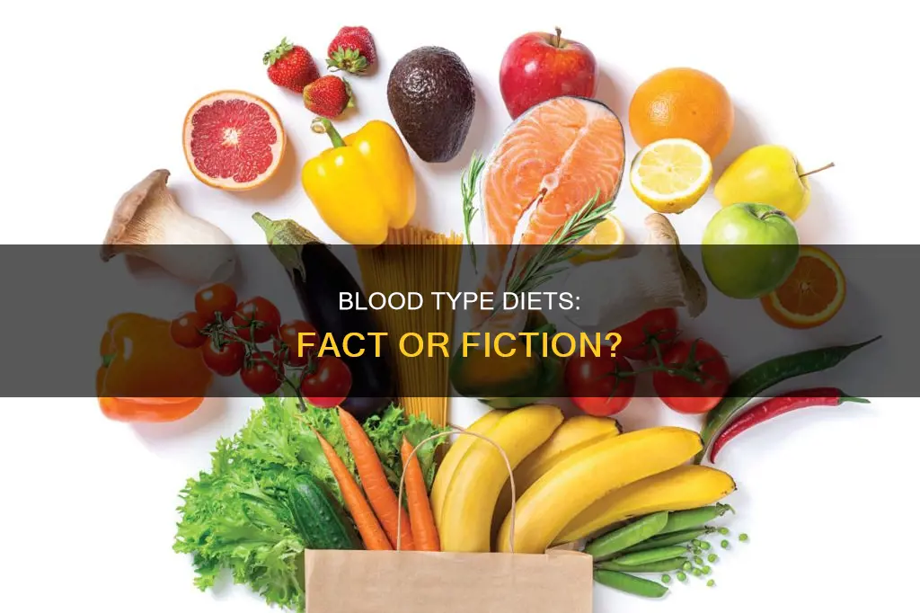 Blood Type Diets: Fact Or Fiction? | ShunKeto