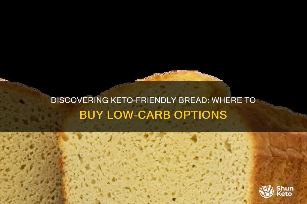 Discovering Keto-Friendly Bread: Where To Buy Low-Carb Options | ShunKeto