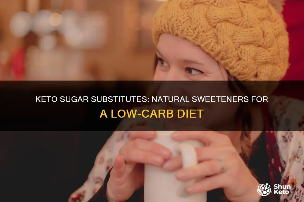 Keto Sugar Substitutes: Natural Sweeteners For A Low-Carb Diet | ShunKeto