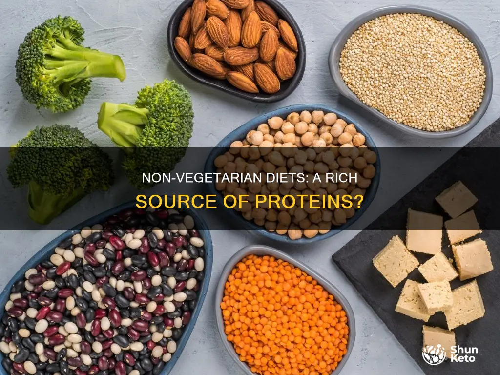 Non-Vegetarian Diets: A Rich Source Of Proteins? | ShunKeto