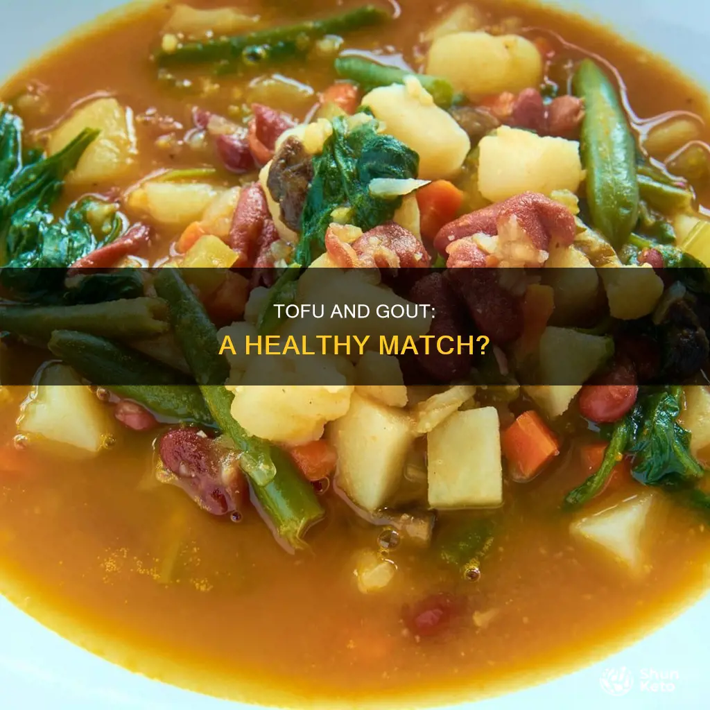 Tofu And Gout: A Healthy Match? | ShunKeto