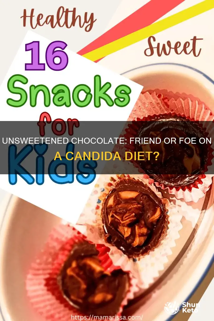 Unsweetened Chocolate: Friend Or Foe On A Candida Diet? | ShunKeto