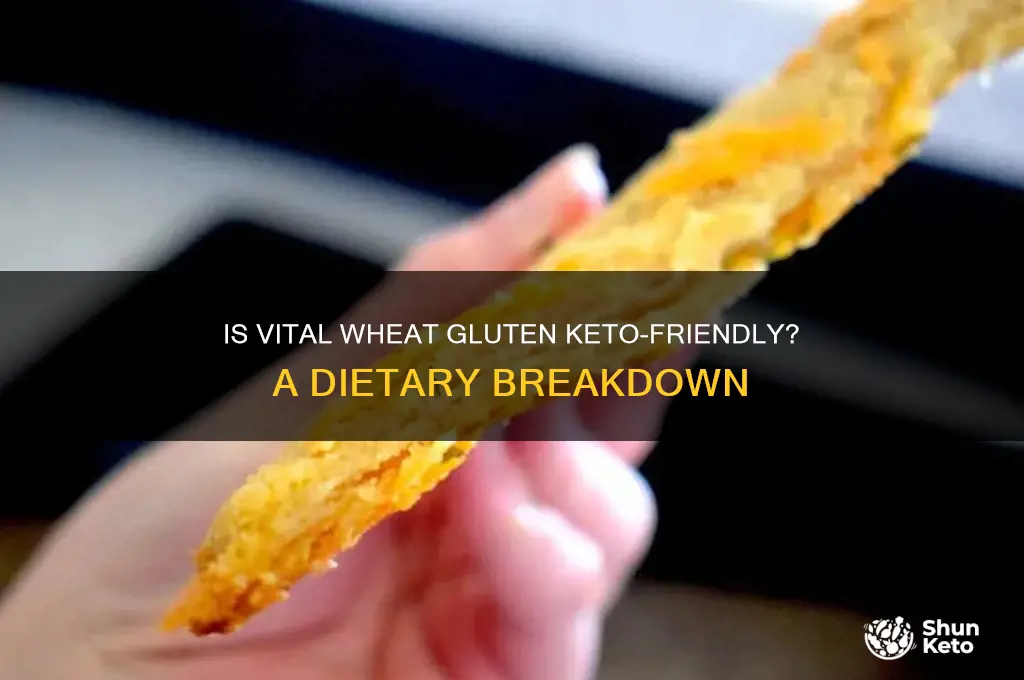 Is Vital Wheat Gluten Keto-Friendly? A Dietary Breakdown | ShunKeto
