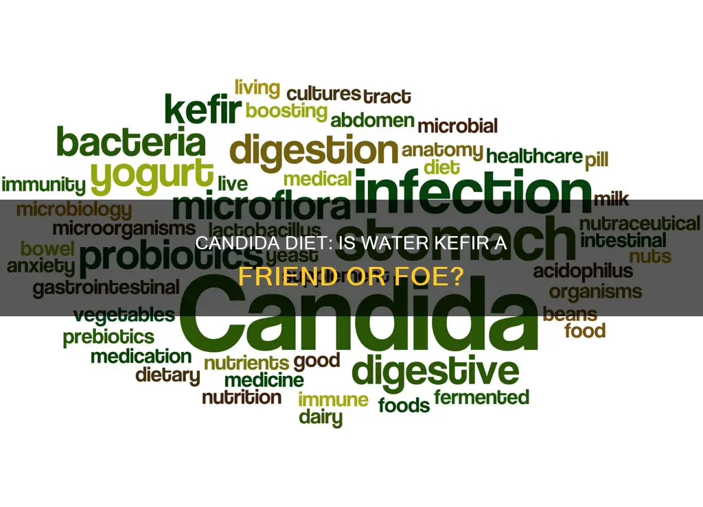 Candida Diet: Is Water Kefir A Friend Or Foe? | ShunKeto