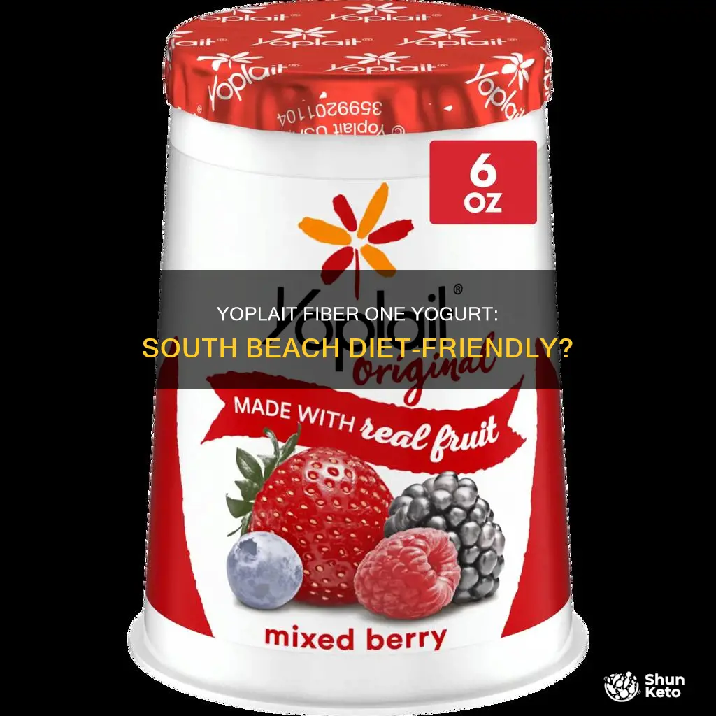 Yoplait Fiber One Yogurt: South Beach Diet-Friendly? | ShunKeto