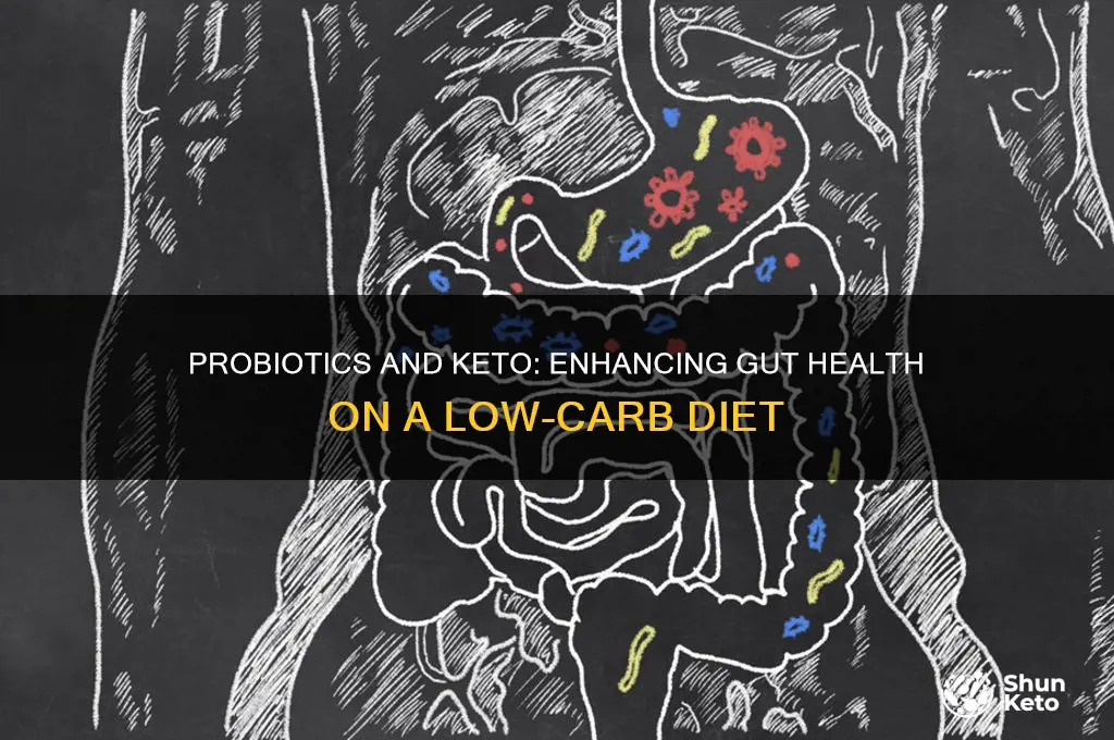 Probiotics And Keto: Enhancing Gut Health On A Low-Carb Diet | ShunKeto
