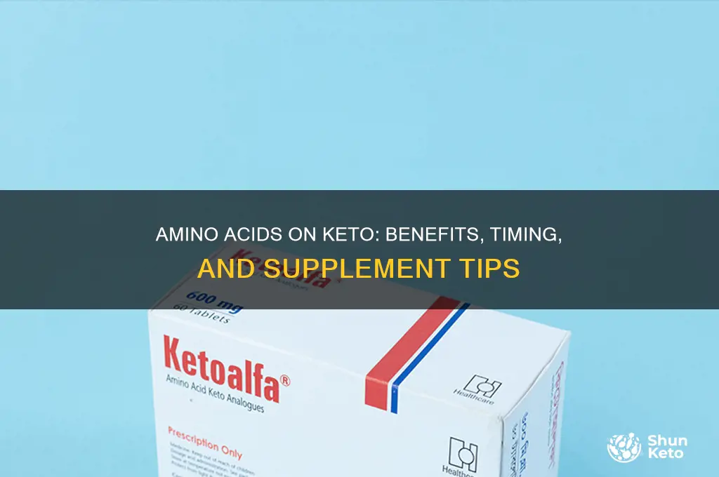 Amino Acids On Keto: Benefits, Timing, And Supplement Tips | ShunKeto