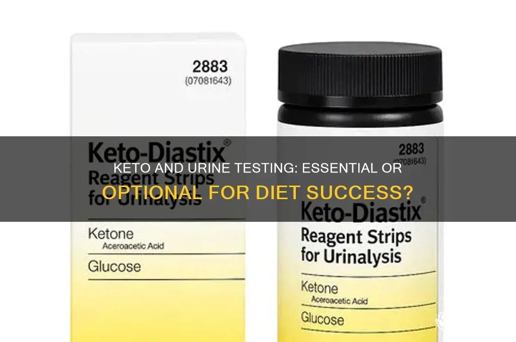 Keto And Urine Testing: Essential Or Optional For Diet Success? | ShunKeto