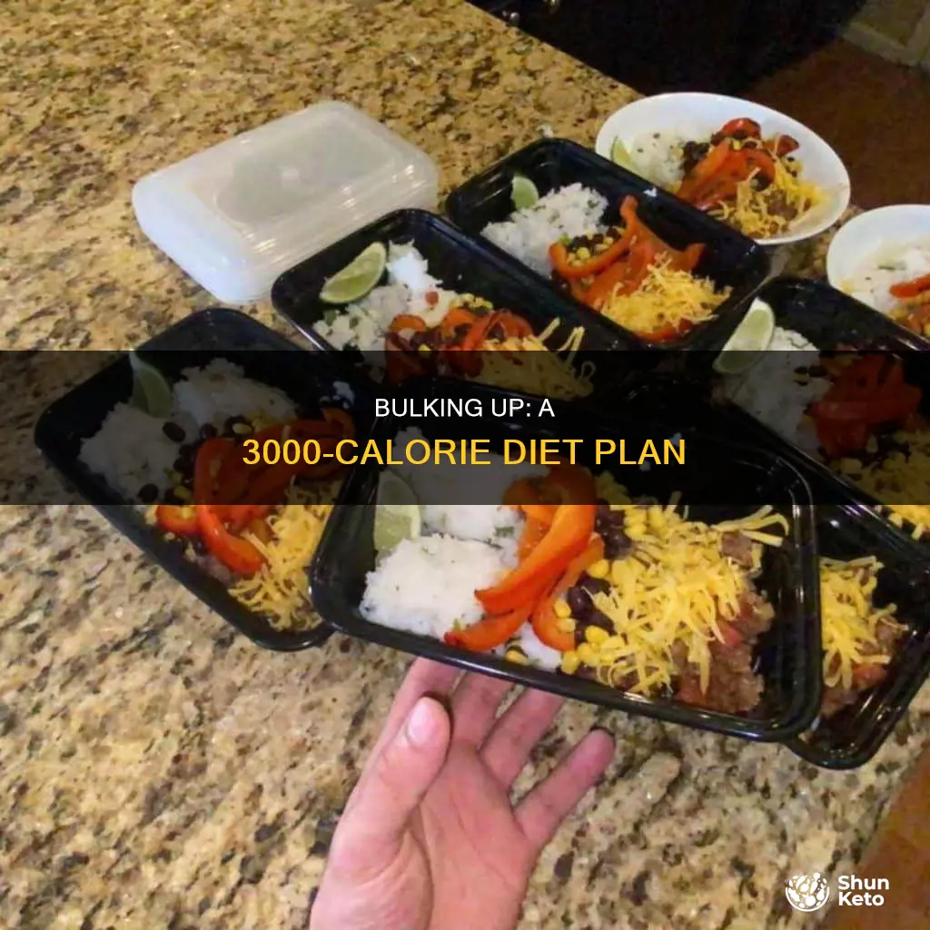 Bulking Up: A 3000-Calorie Diet Plan | ShunKeto