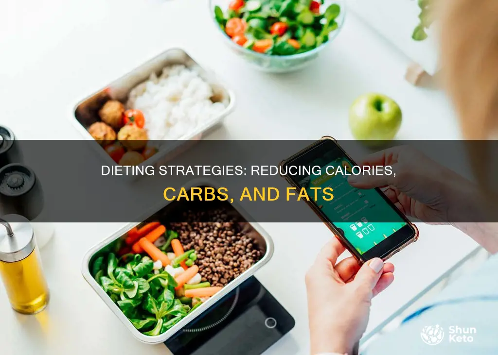 Dieting Strategies: Reducing Calories, Carbs, And Fats | ShunKeto
