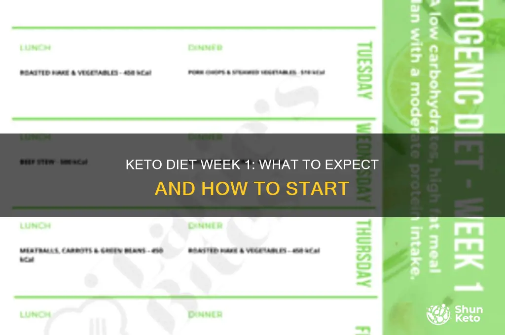 Keto Diet Week 1: What To Expect And How To Start | ShunKeto
