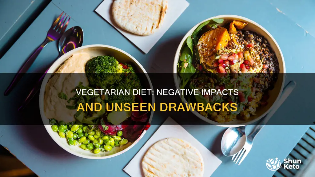Vegetarian Diet: Negative Impacts And Unseen Drawbacks | ShunKeto