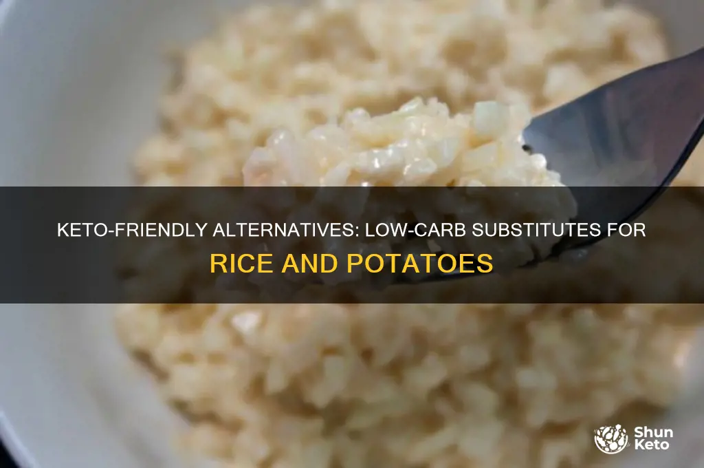 Keto-Friendly Alternatives: Low-Carb Substitutes For Rice And Potatoes ...
