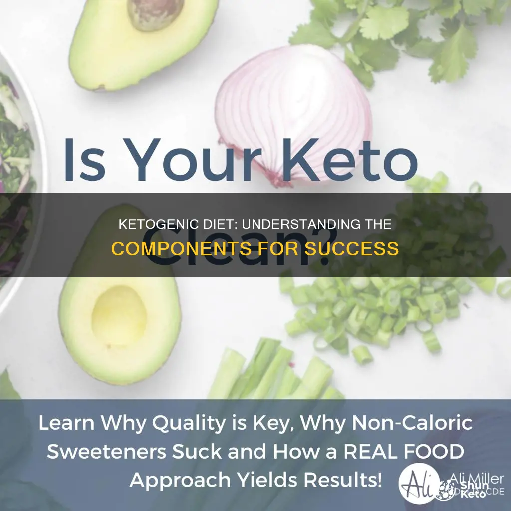 Ketogenic Diet: Understanding The Components For Success | ShunKeto