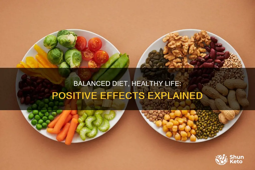 Balanced Diet, Healthy Life: Positive Effects Explained | ShunKeto