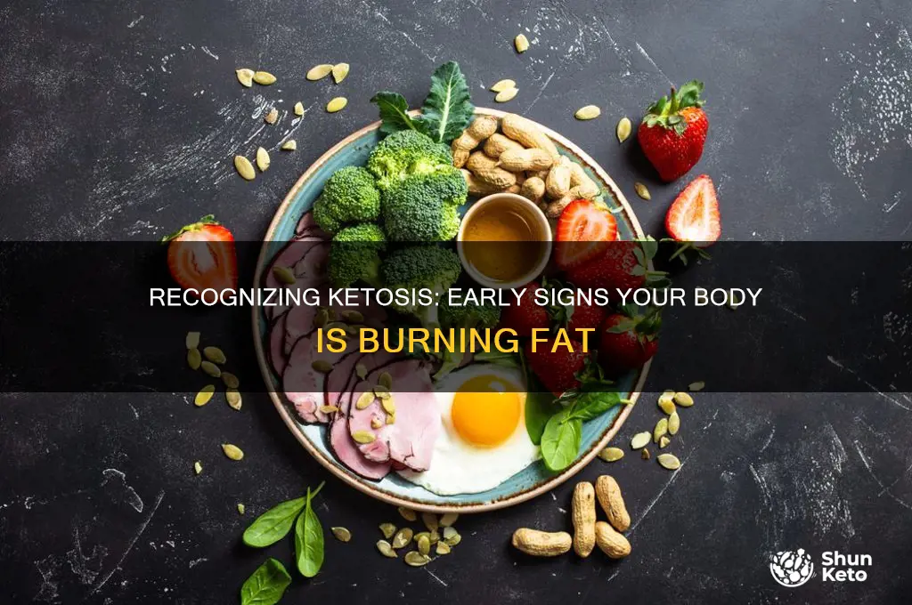 Recognizing Ketosis: Early Signs Your Body Is Burning Fat | ShunKeto