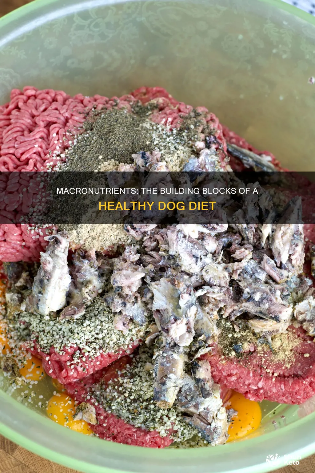Macronutrients: The Building Blocks Of A Healthy Dog Diet | ShunKeto