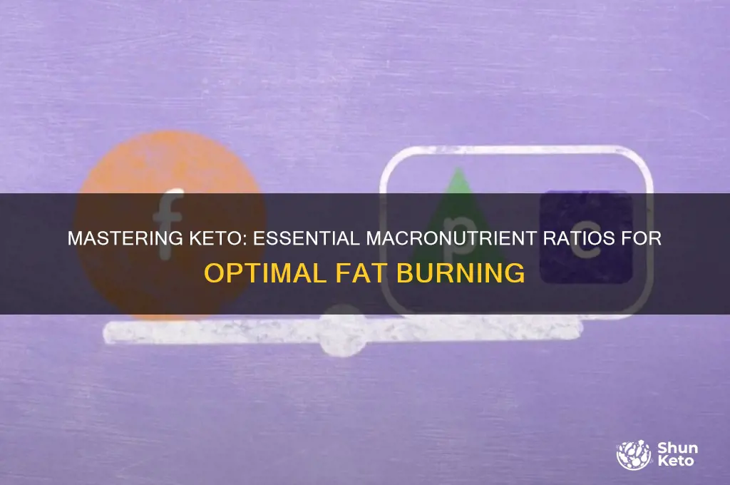 Mastering Keto: Essential Macronutrient Ratios For Optimal Fat Burning ...
