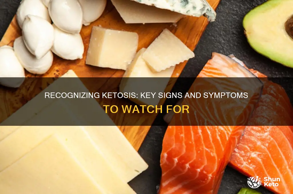 Recognizing Ketosis: Key Signs And Symptoms To Watch For | ShunKeto