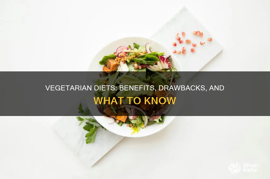 Vegetarian Diets: Benefits, Drawbacks, And What To Know | ShunKeto