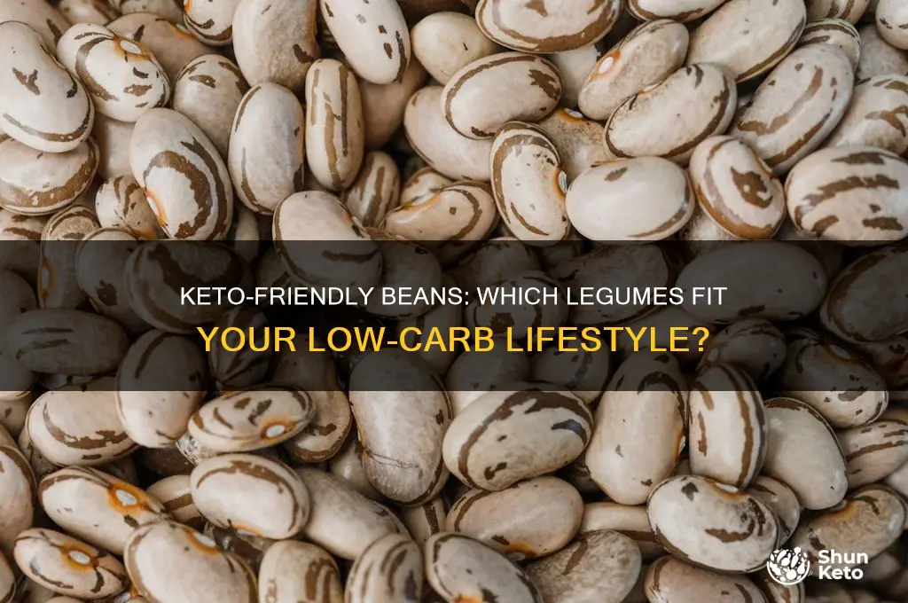 Keto-Friendly Beans: Which Legumes Fit Your Low-Carb Lifestyle? | ShunKeto