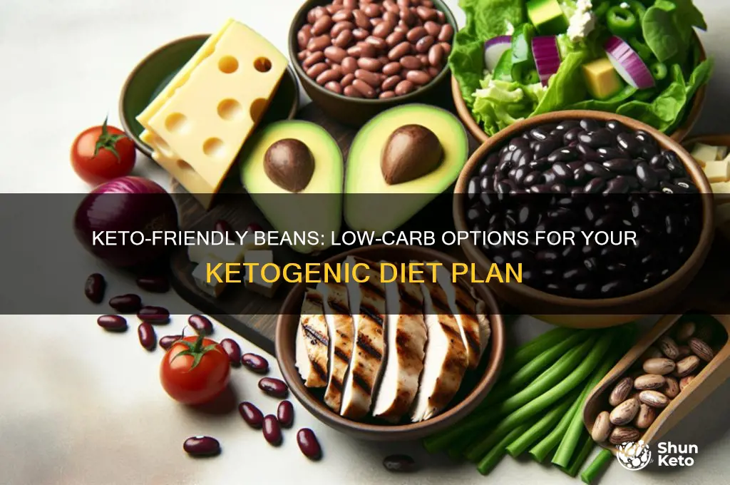 Keto-Friendly Beans: Low-Carb Options For Your Ketogenic Diet Plan ...