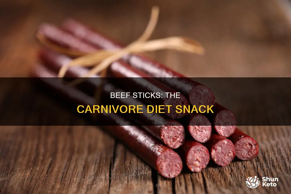 Beef Sticks: The Carnivore Diet Snack | ShunKeto