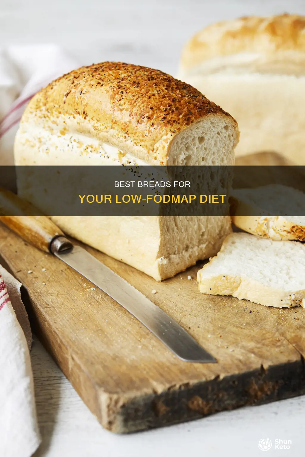 Best Breads For Your Low-Fodmap Diet | ShunKeto