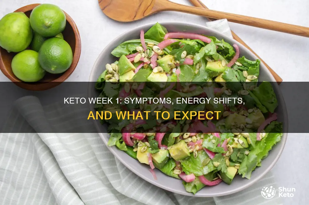 Keto Week 1: Symptoms, Energy Shifts, And What To Expect | ShunKeto