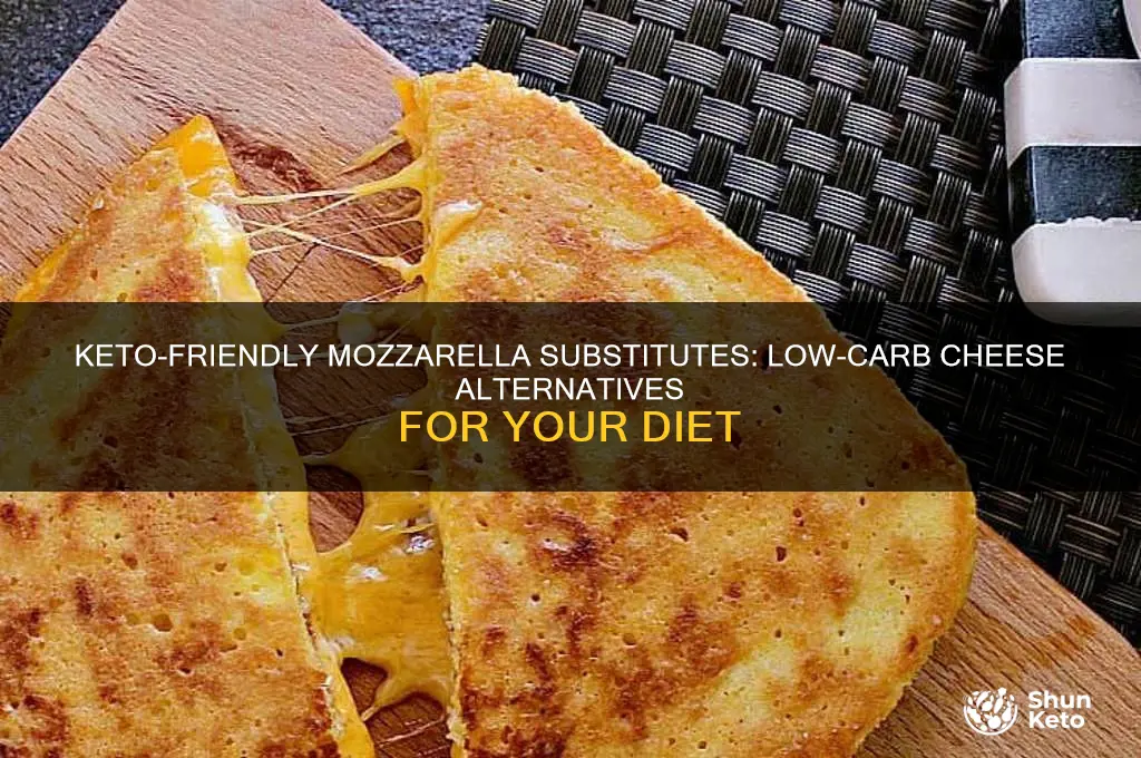 Keto-Friendly Mozzarella Substitutes: Low-Carb Cheese Alternatives For ...