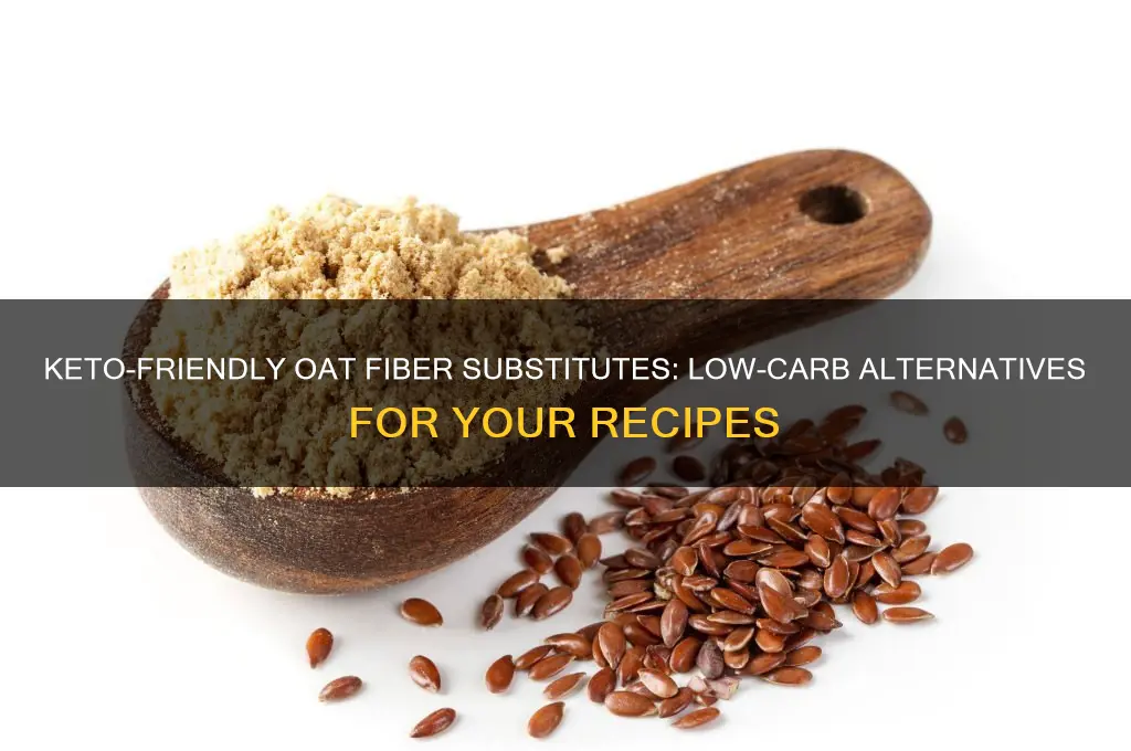 Keto-Friendly Oat Fiber Substitutes: Low-Carb Alternatives For Your ...