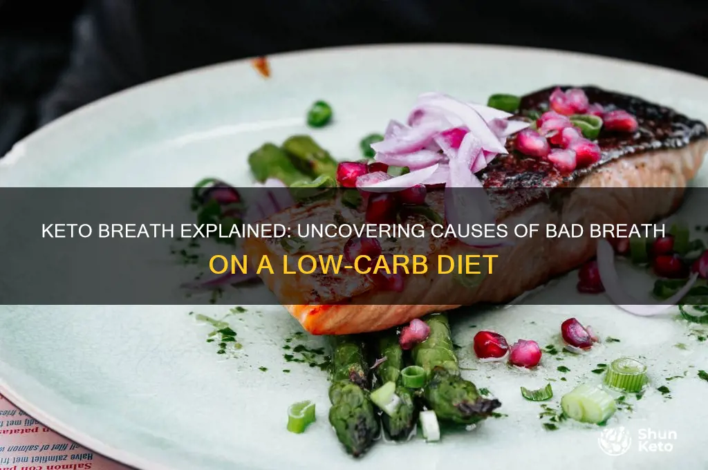 Keto Breath Explained: Uncovering Causes Of Bad Breath On A Low-Carb ...