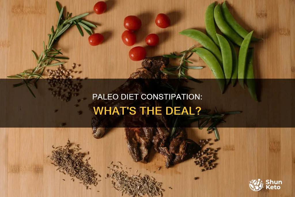 Paleo Diet Constipation: What's The Deal? | ShunKeto