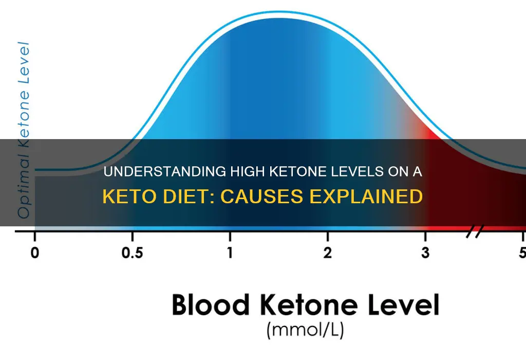 Understanding High Ketone Levels On A Keto Diet: Causes Explained ...