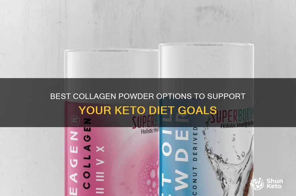 Best Collagen Powder Options To Support Your Keto Diet Goals | ShunKeto