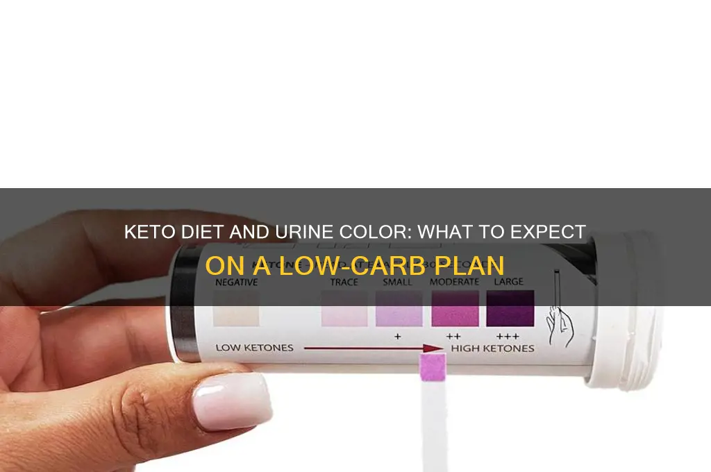 Keto Diet And Urine Color: What To Expect On A Low-Carb Plan | ShunKeto